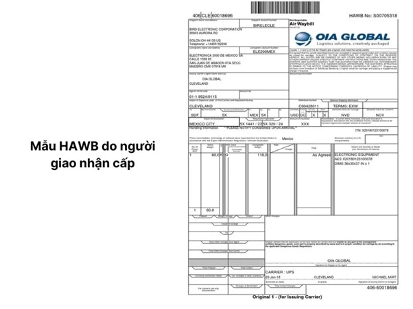 Airway bill là gì Thông tin trên AWB và 4 điều cần biết